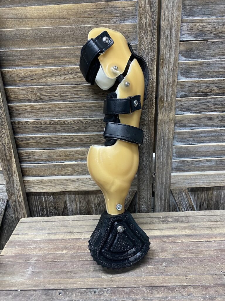 Dog Prosthetics or Partial Limb Prosthetics for Dogs.