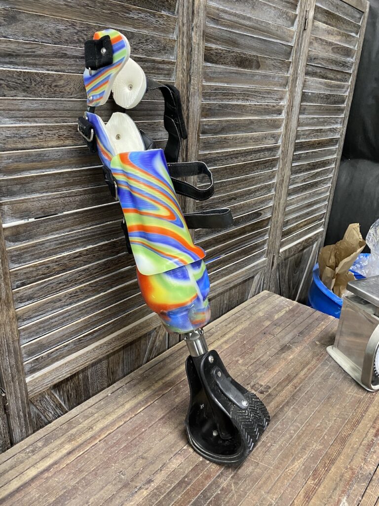 Large Animal Prosthetics - Horse Prosthetic, Goat Prosthetic