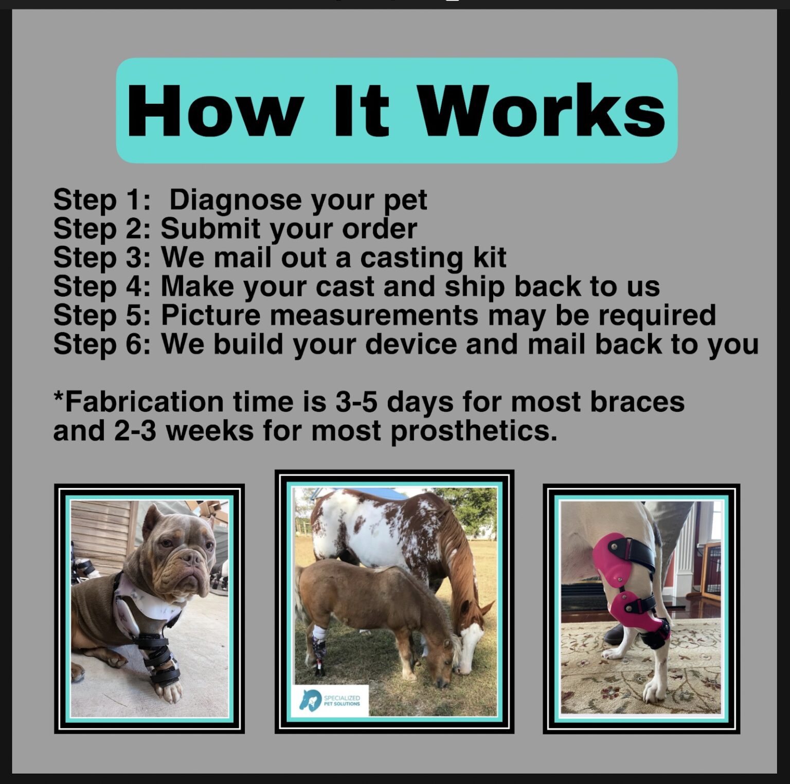 Full-Limb Dog Prosthetic - Specialized Pet Solutions